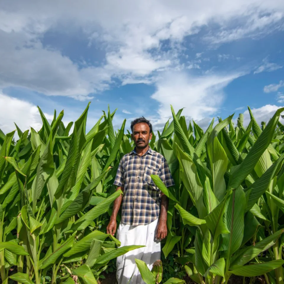 Share Spring - Blank Street Coffee US